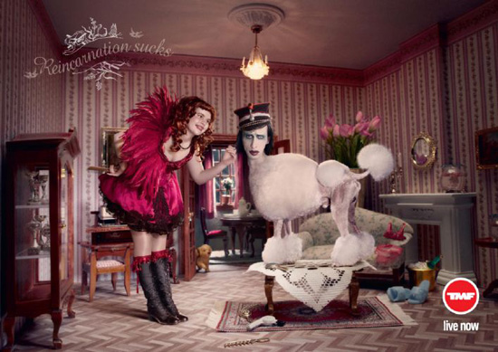 MTV terminates Dutch TMF channels