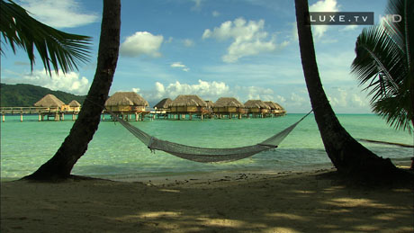 Luxe.TV announces US debut on DISH