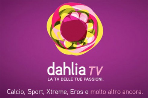 dahlia-tv