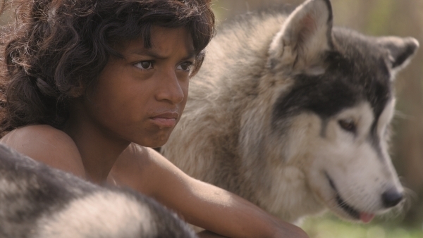 ZDF to show first Ultra HD production