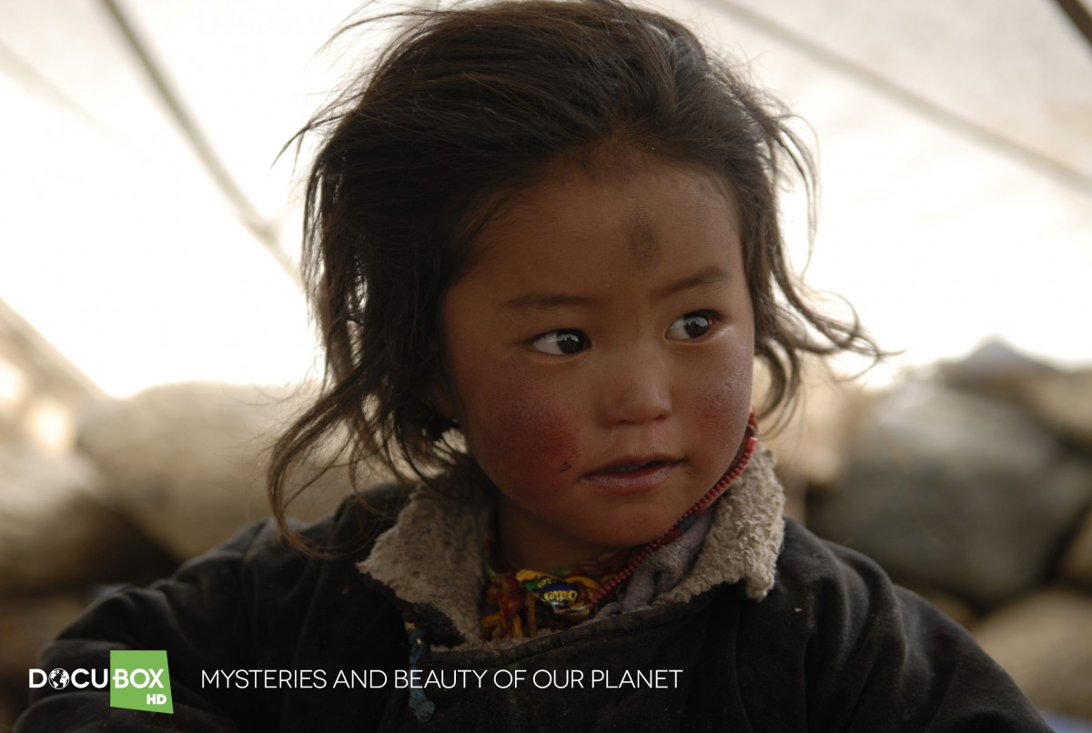 DocuBox HD launches on Toya