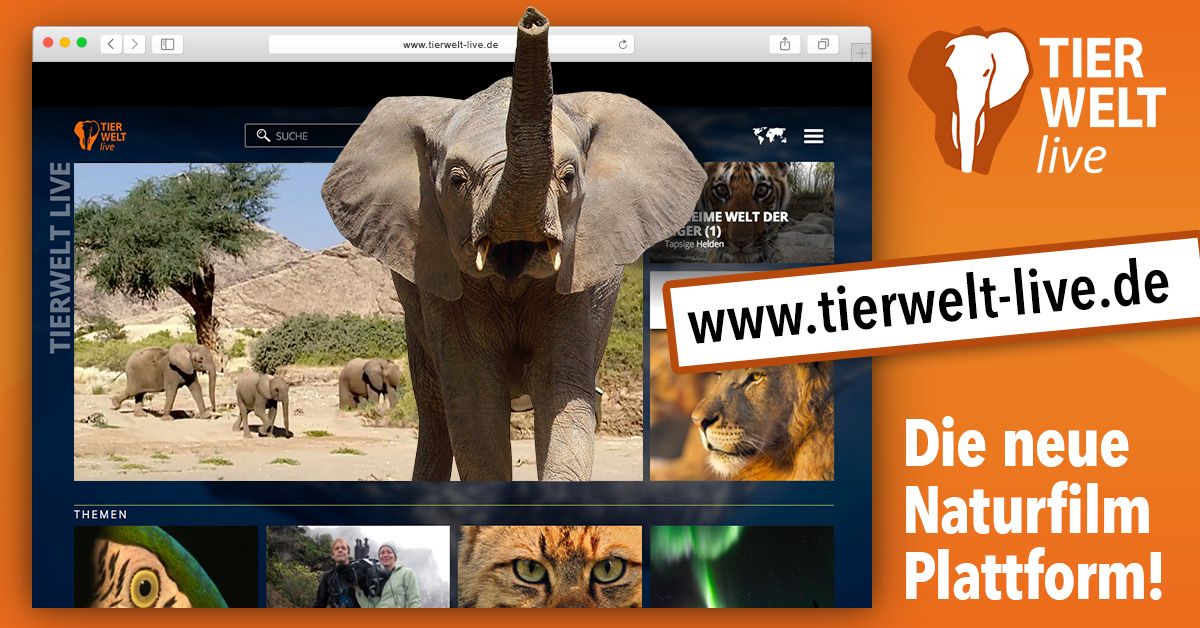 New VOD service for animal lovers