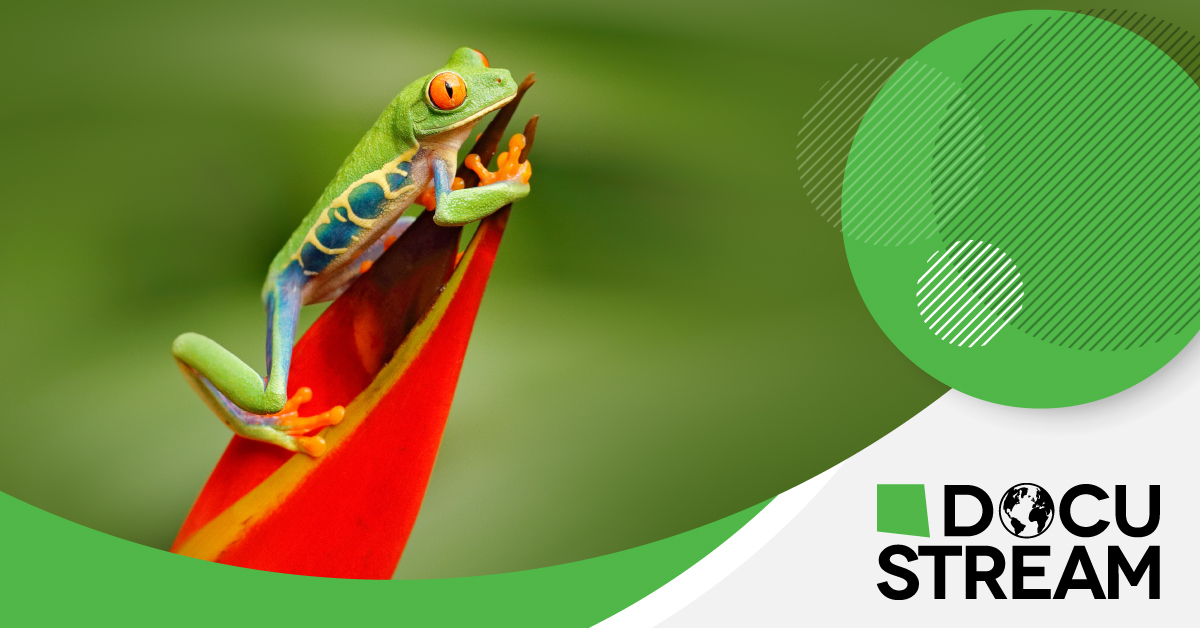 SPI’s Docustream debuts on KlowdTV in the US