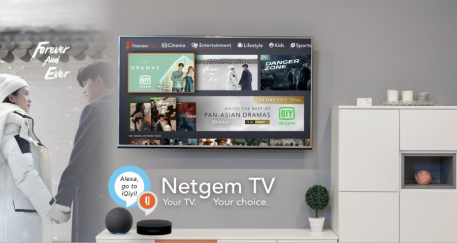 Netgem tops 0.5m TV subs