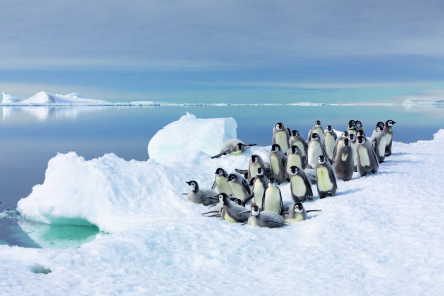 M7 Group inks BBC Earth deal