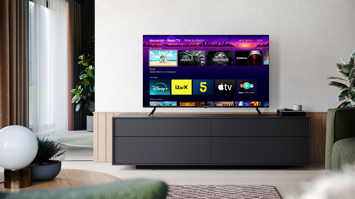 Roku tops 100 million streaming households worldwide